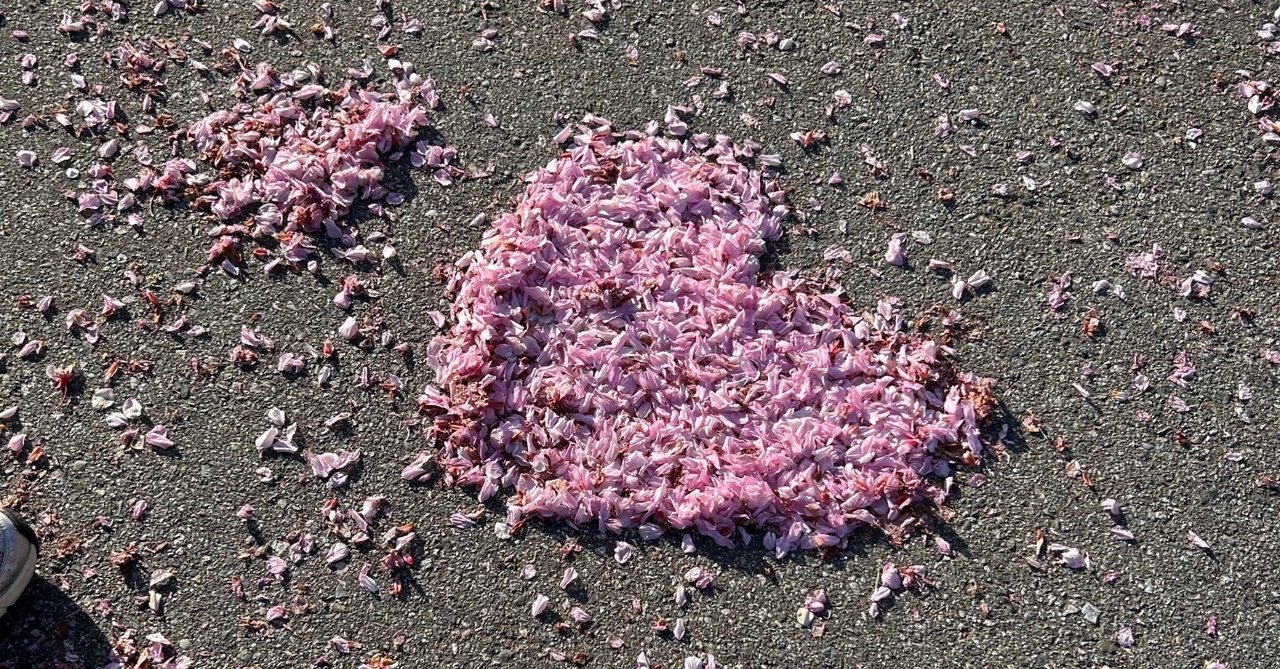 自己紹介 はじめてのnote｜rui