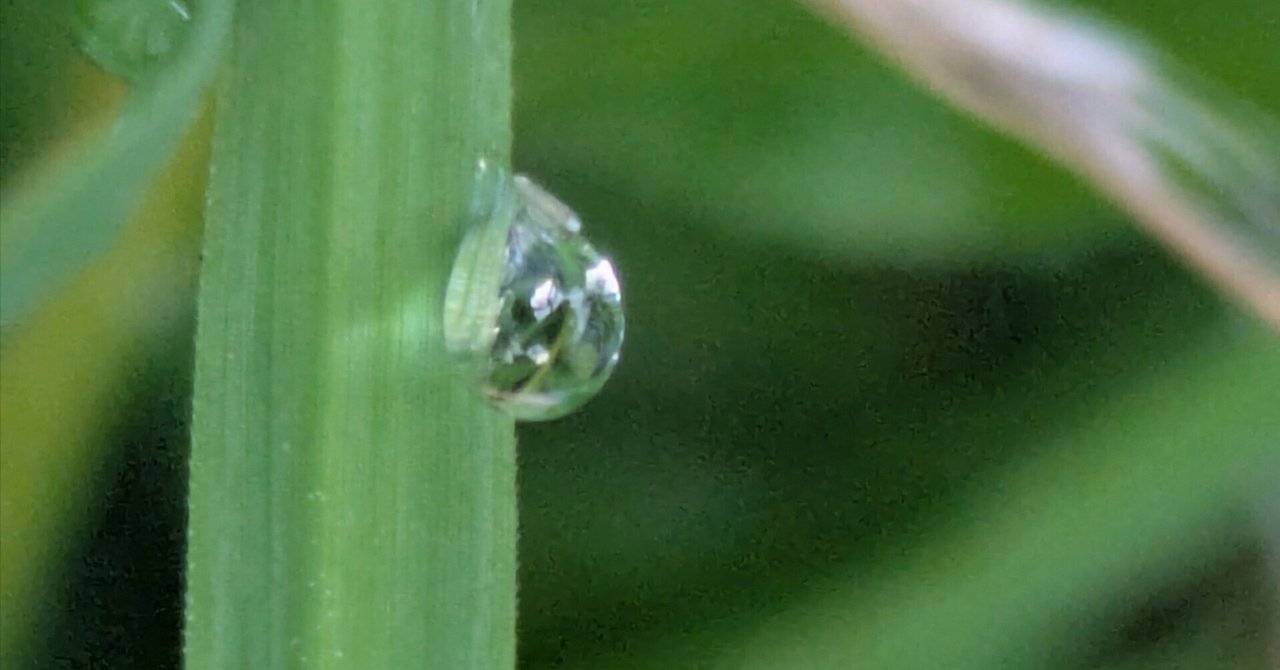 水滴美術館〜映る｜ichiro70