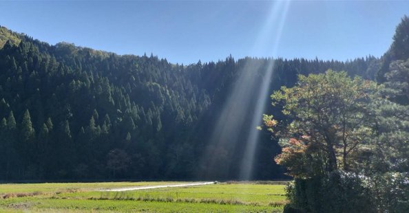 北陸・福井のマヤ暦アドバイザー：🌎Rumiko（酒井ルミコ）｜note