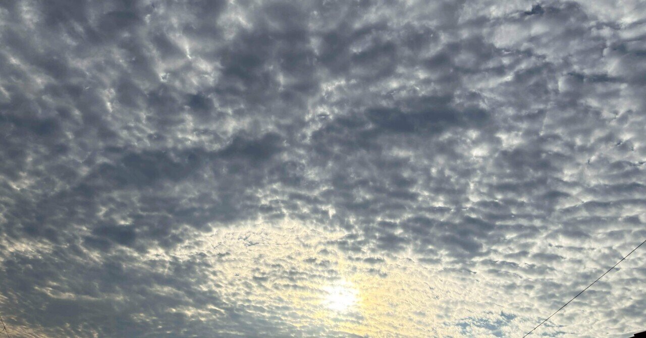 『誤読と暴走の日本思想』著者解説（Note 100 日チャレンジ17)｜Suzuki Takami (鈴木隆美)