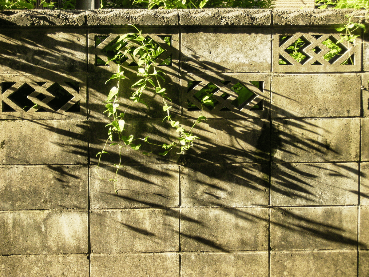 コンデジスナップ、夏編。｜ma__tsuko