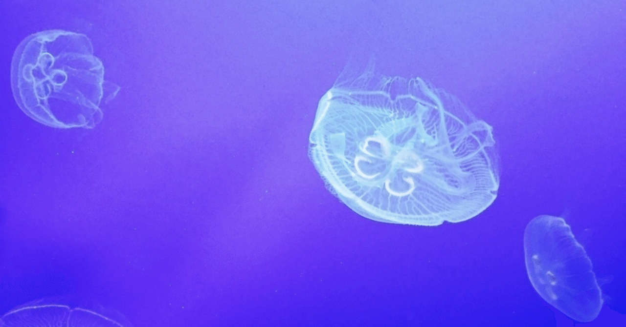 HSPやINFJは「人生の流れに逆らわない」を意識することで、心身から力が抜け、本来のあなたに戻り始める｜かぜの帽子（INFJ×kindle作家）