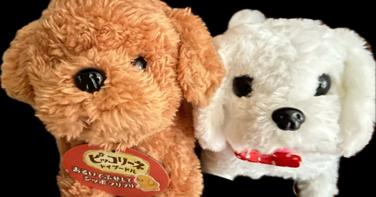 犬派猫派｜Junji Kajiwara