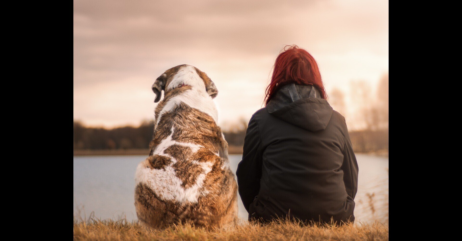 Yamakoshi Maki｜note