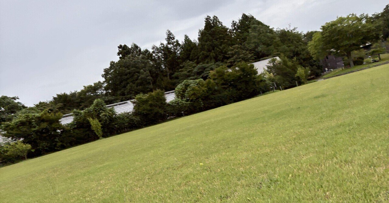 夏至と冬至は太陽からのギフト｜Yuco Misawa