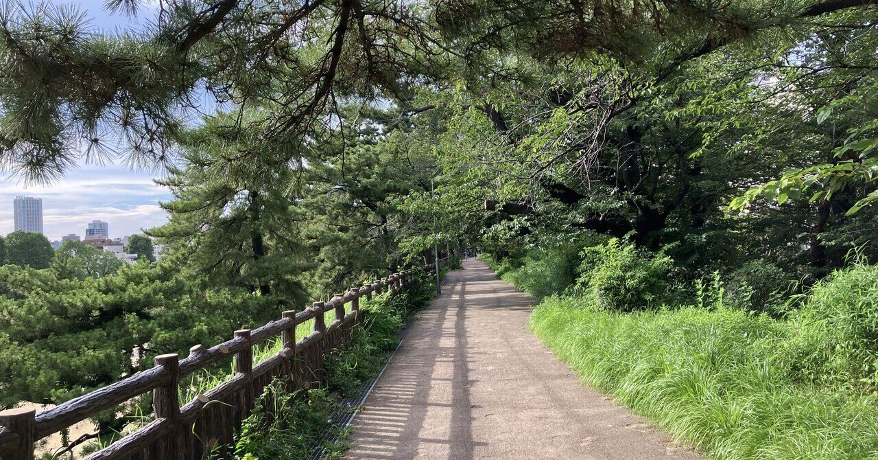 通称「井村ファンド」。躍進する「fundnote日本株Kaihouファンド」｜新宿御苑ブックカフェ