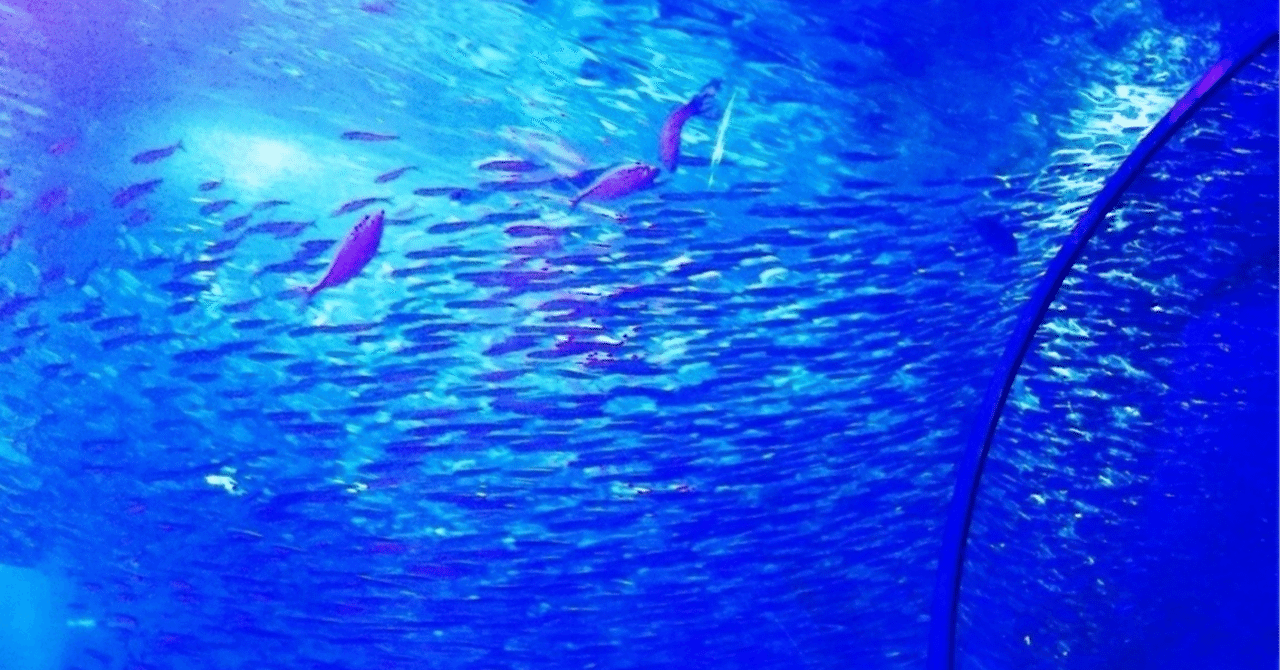 20250727今日の晩ご飯｜からすのこ