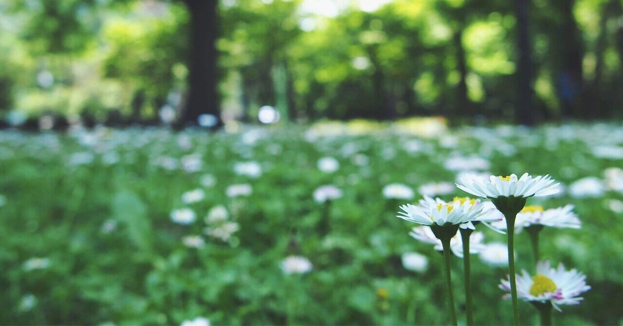 DC療法② day12｜ayucci