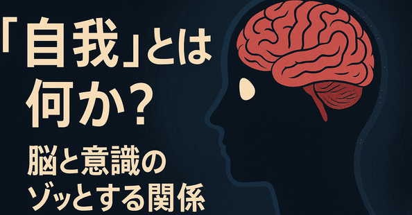 Tsune Quartet｜note