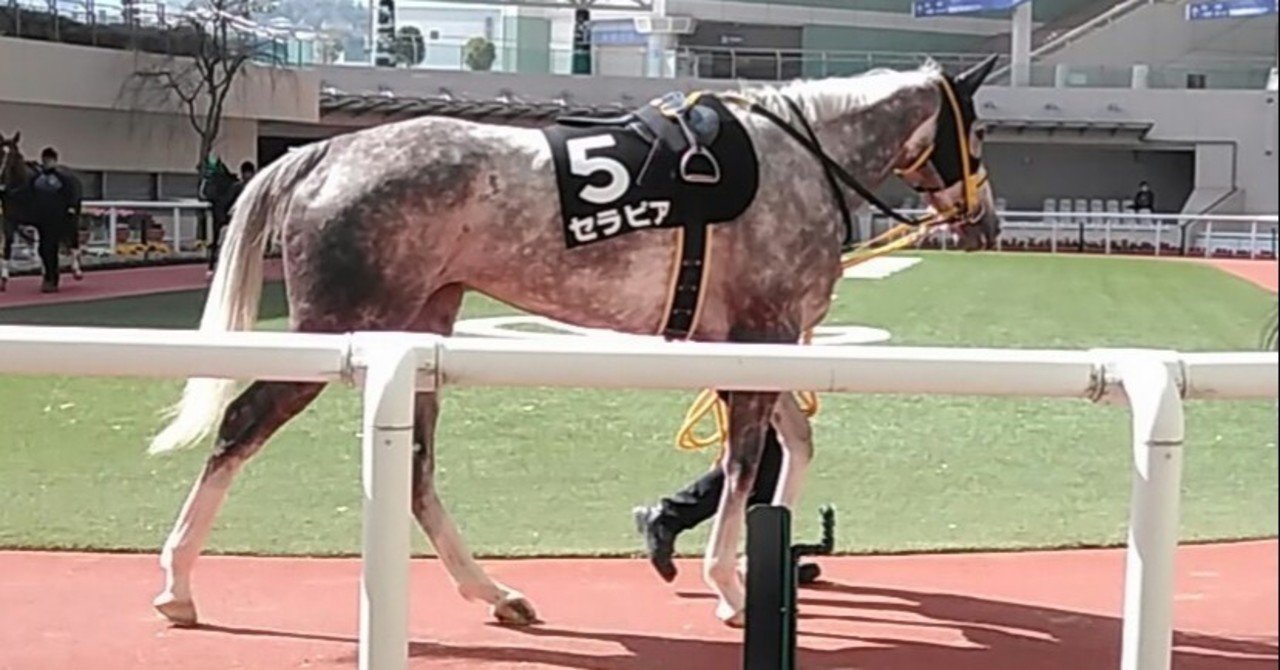 3/7(土) 阪神9R 摂津特別 1番人気馬｜JRDB 競馬アラカルト