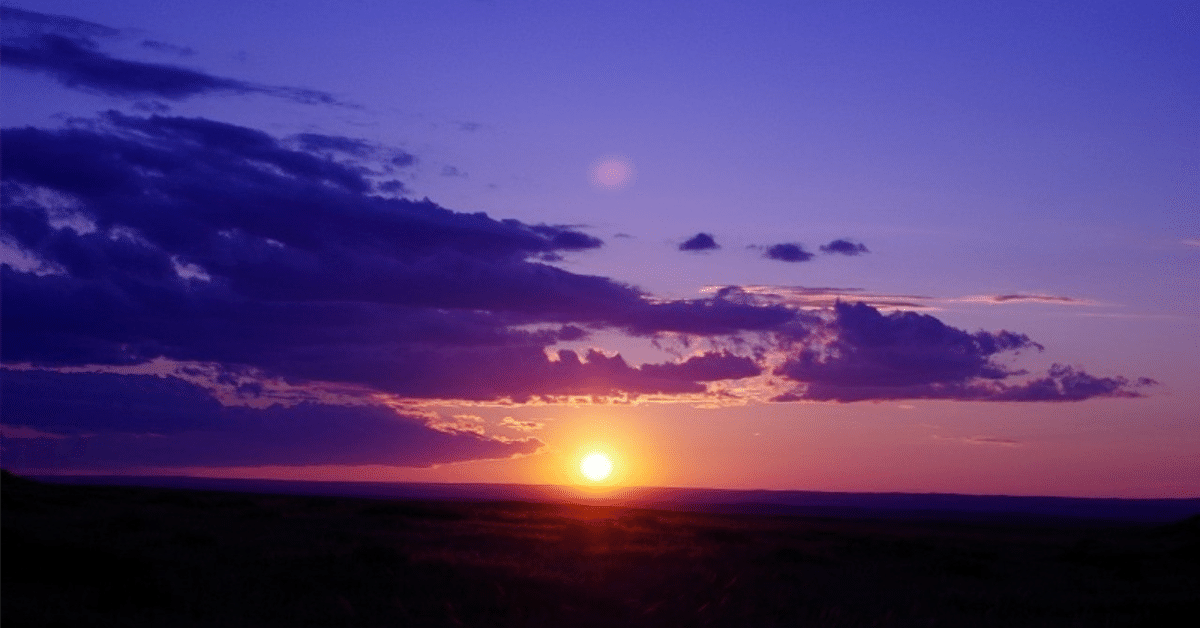 1期目完走記録｜Shiori Yoshida