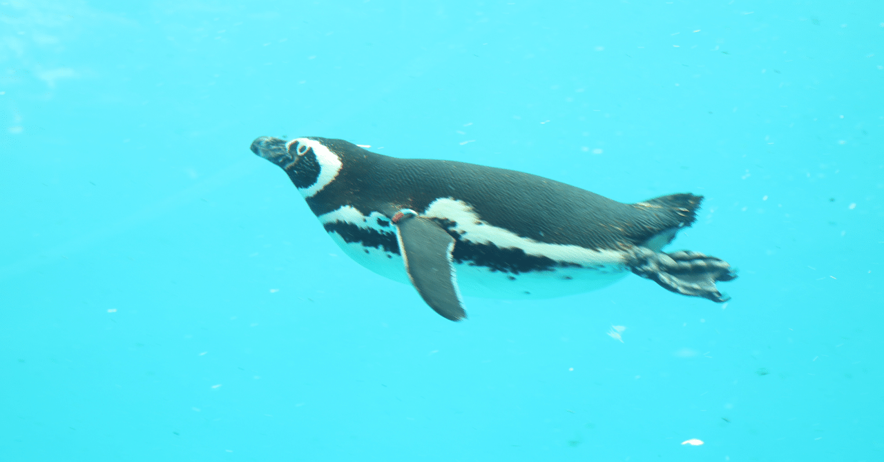 7/29～｜今週のツイン統合ガイド＆3層メッセージ｜Shoko＝Arka