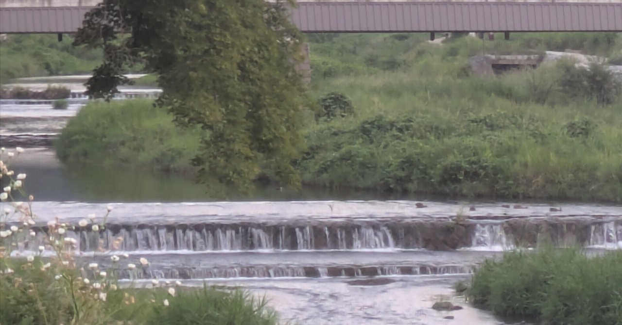 『里恋詩くて・・・熊野・高野』紀伊を愛した怒涛詩人さとちゃんを忘れない【756】｜ichiro70
