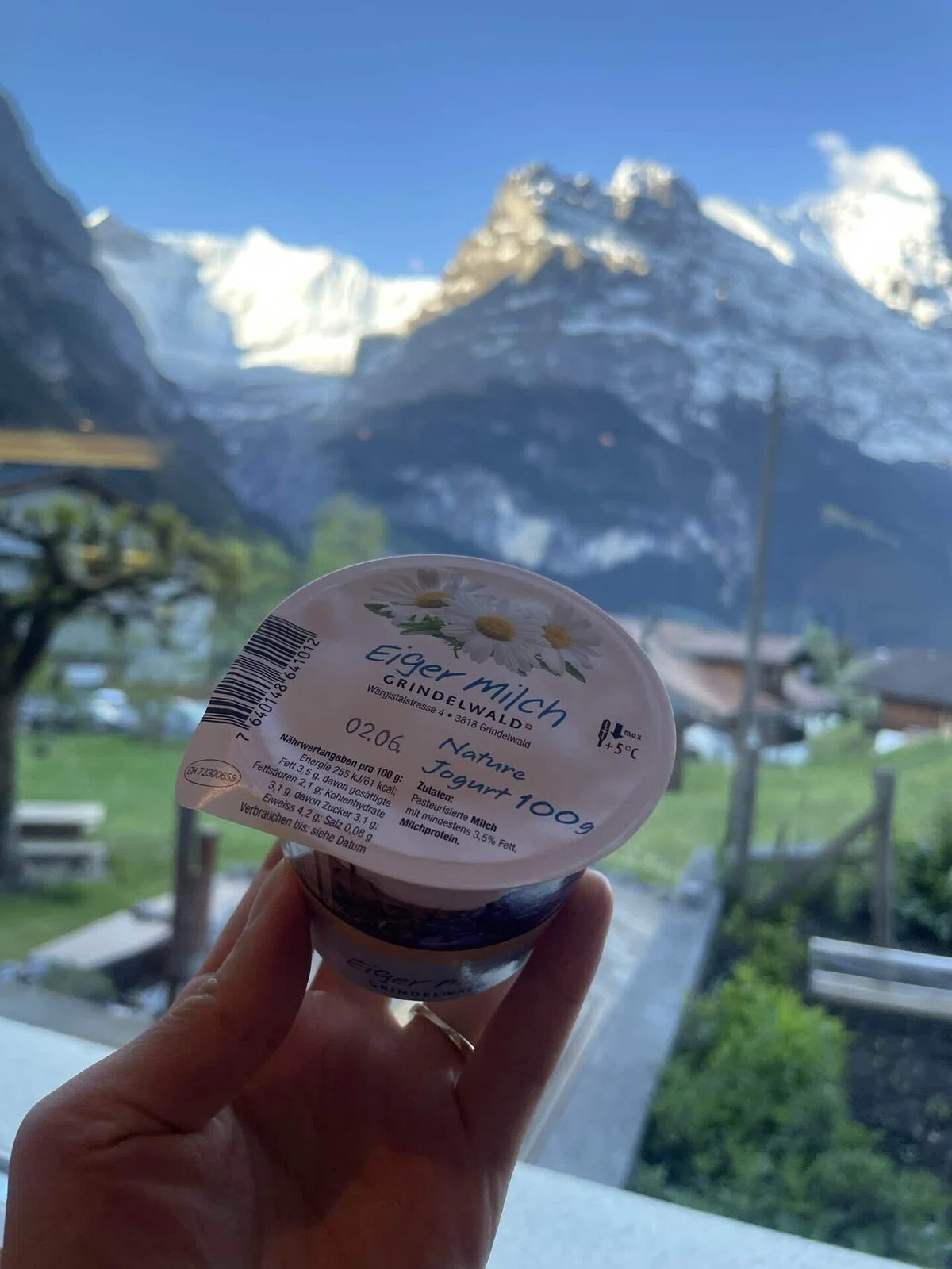 【宿泊記】Grindellodge【スイス/グリンデルワルト】｜pado