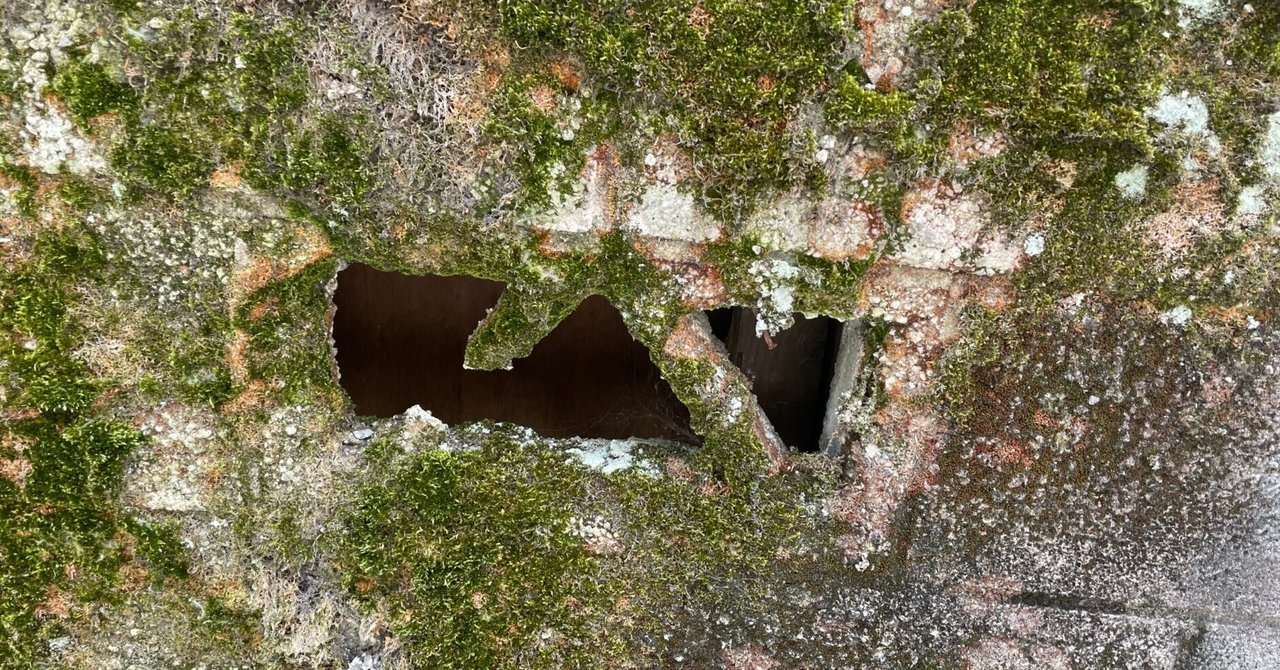 ふむふむ。｜putoli