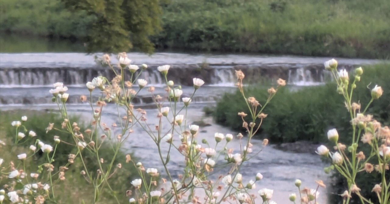 第4巻歌番号579番 歌/作者 余明軍｜ichiro70