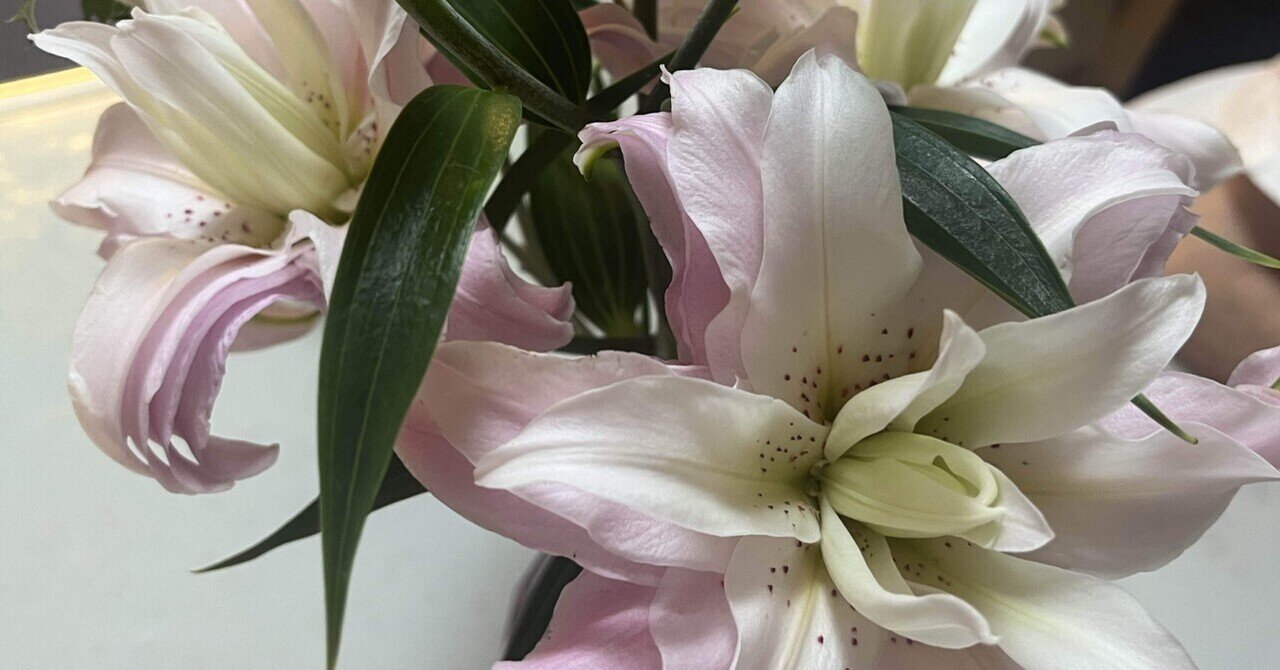 SLE月1の検診｜lancoco