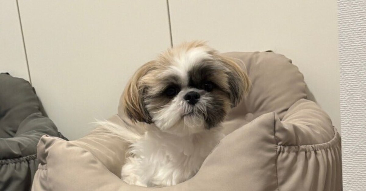 🐶P = Protein, F = Fat, C = Carbs — This Is How I Fixed My Life (and My ...