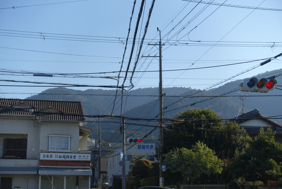 王城をゆく chapter2-2 醍醐寺(2)｜seiyuuudoku 無名人 晴遊雨読