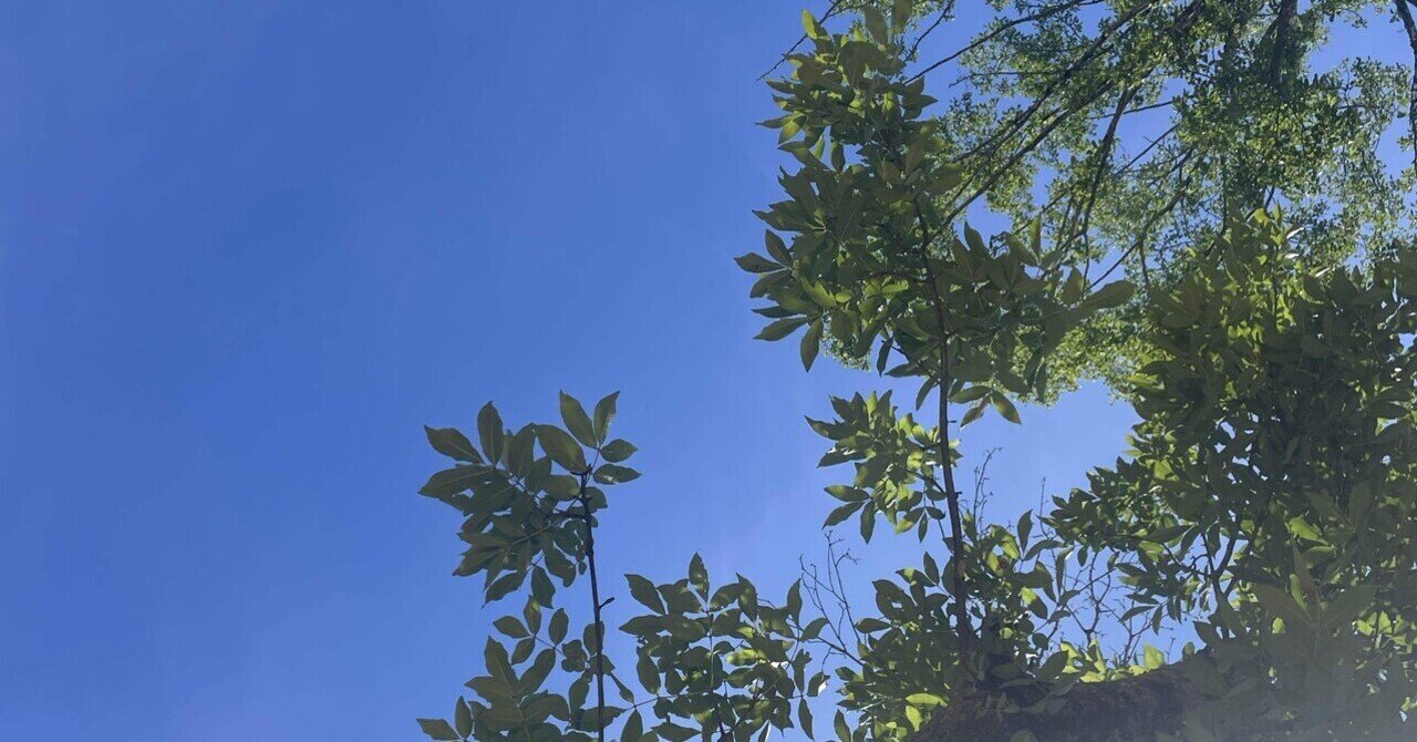 7月のこと｜hyuno