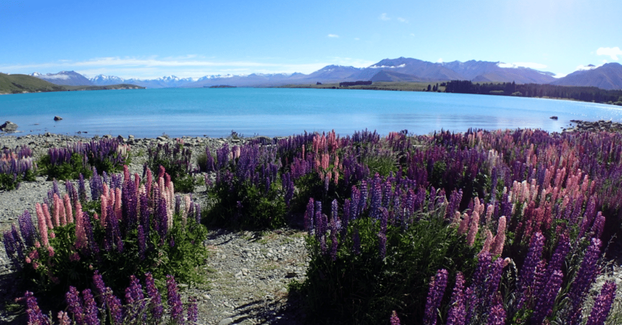 ニュージーランド7泊9日② 【旅行日程の決め方】｜Wasser bitte ワサビ