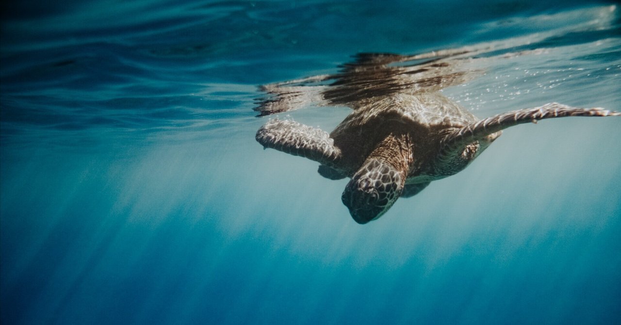 波と対話するように生きる｜Atsushi Sugimoto