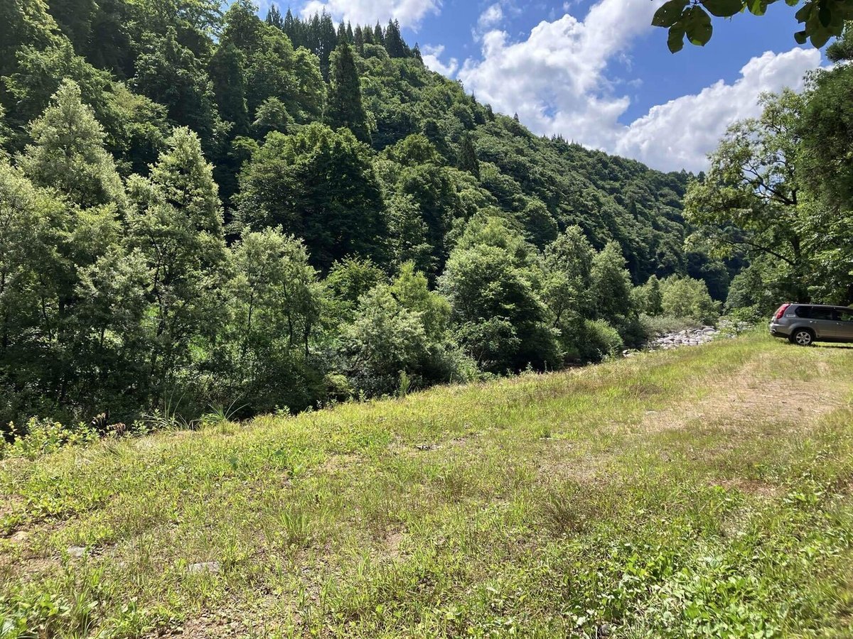 【どうやって見つけた？】私たちが山の土地を手に入れるまで｜decoboco Resort