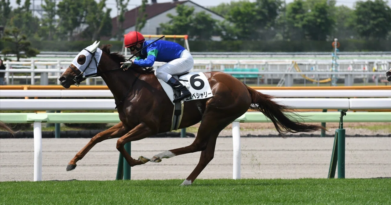 広尾サラブレッド倶楽部 2025募集馬(2024年産)AI馬体診断｜Koji Maeda