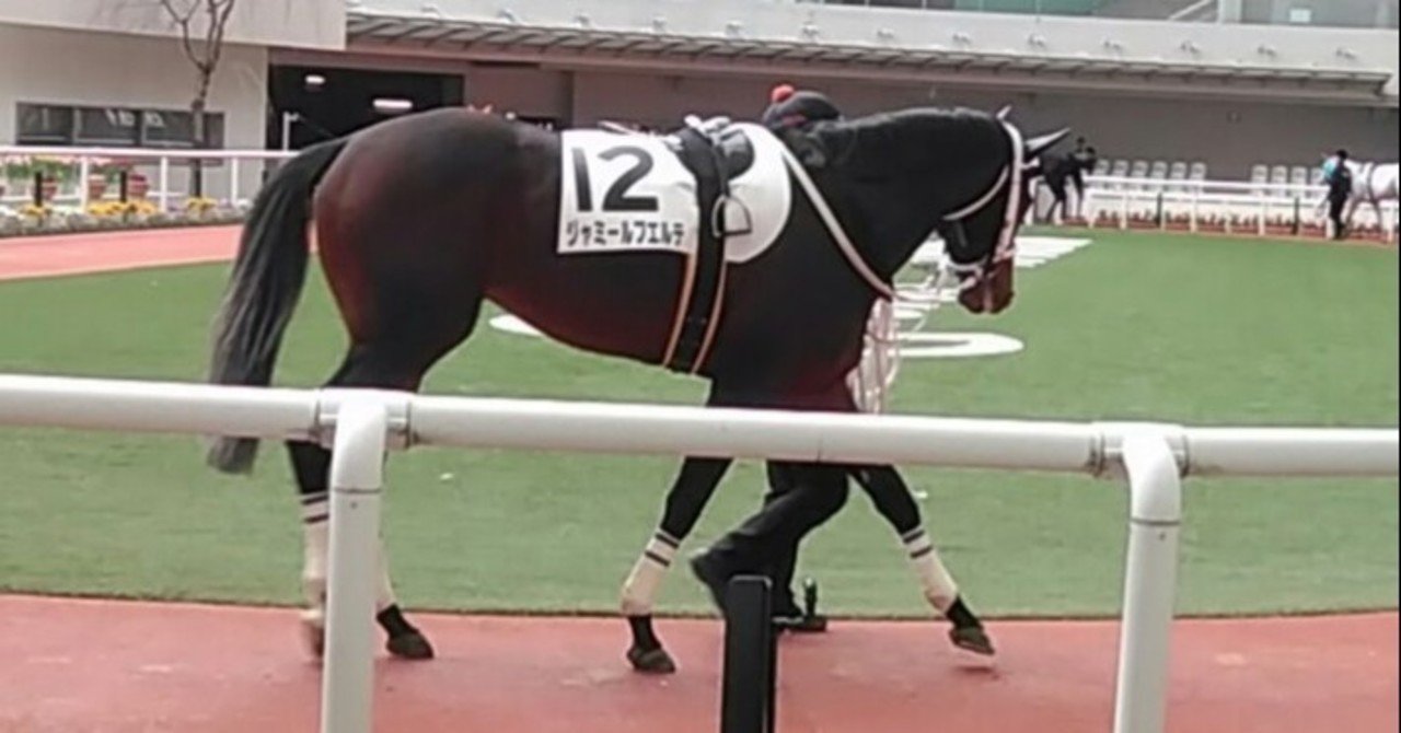 3/8(日) 阪神7R 1番人気馬｜JRDB 競馬アラカルト｜note