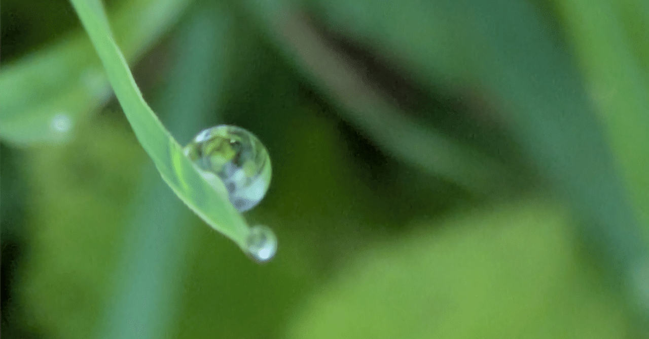 記録したいが、他愛も無い話｜ichiro70