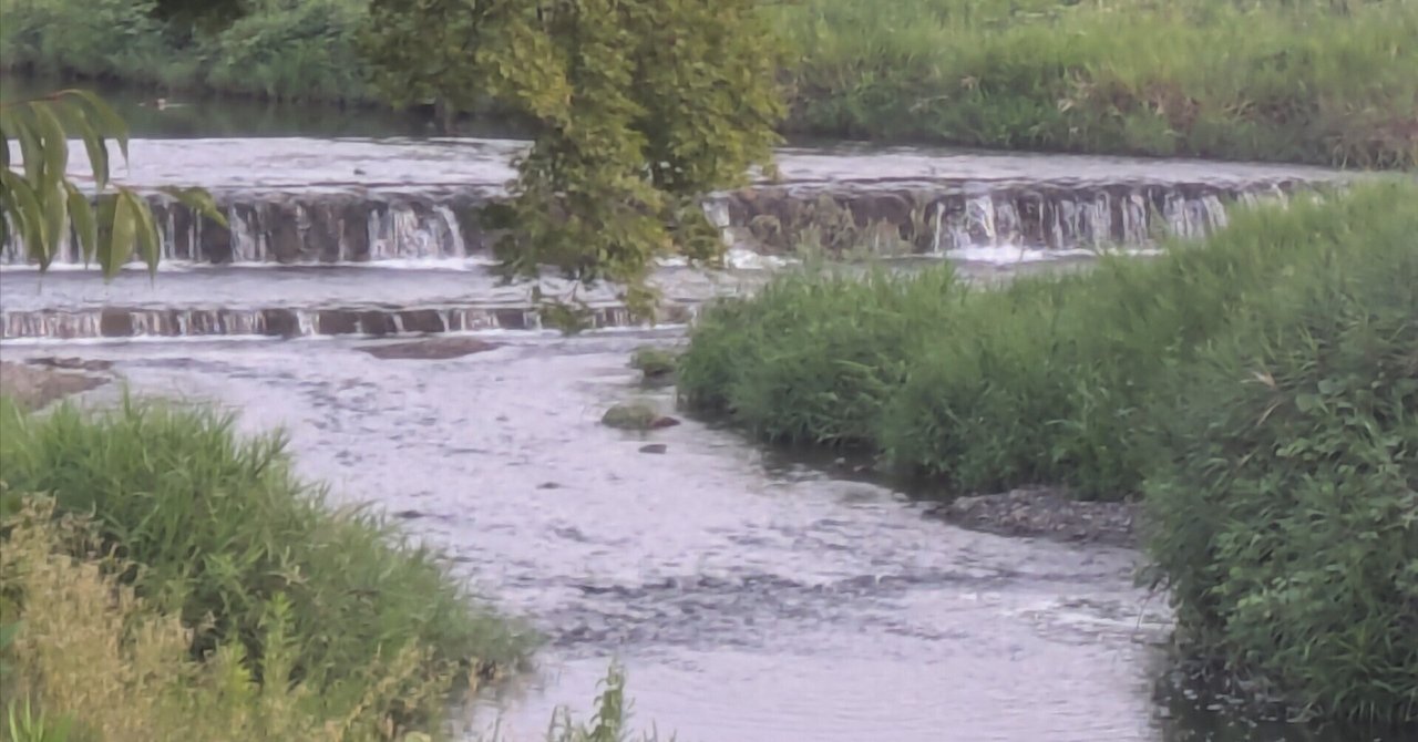 第4巻歌番号581番 歌/作者 坂上大嬢｜ichiro70