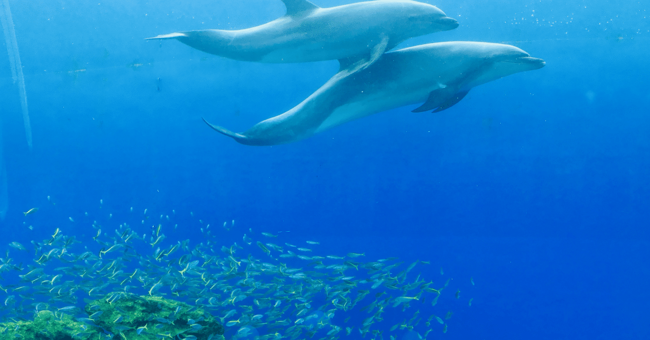 良い波動！｜mini sol