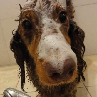 REDLINE - Special Trailer (2010)｜ジェイムス下地 / James Shimoji