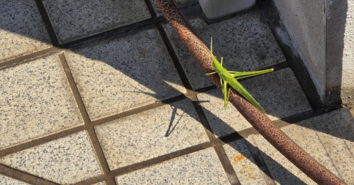 blog.4 ｢断捨離 -暮らしと心- ｣｜Taku