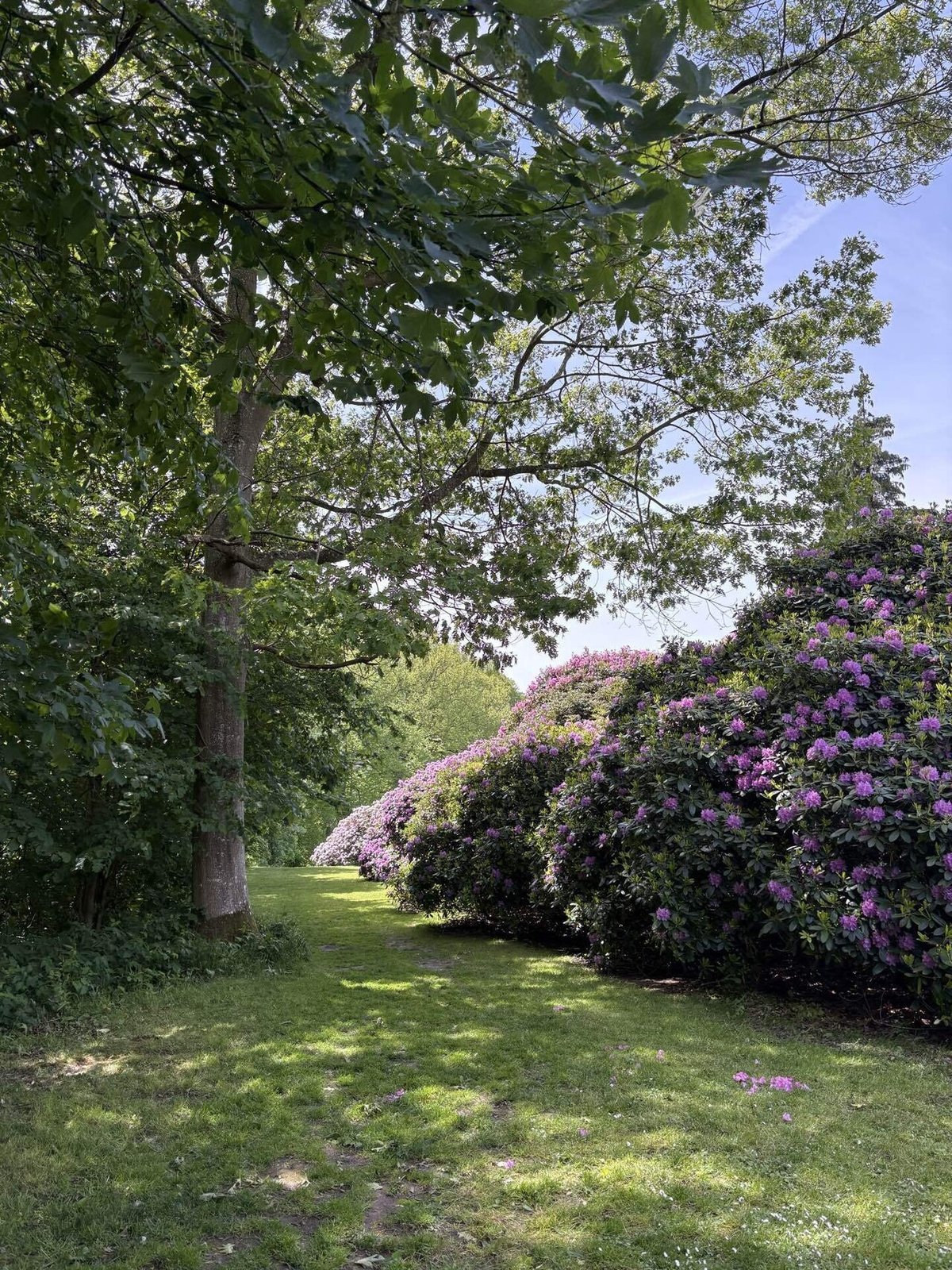 コペンハーゲン / プチトリップ郊外編①｜Mikako