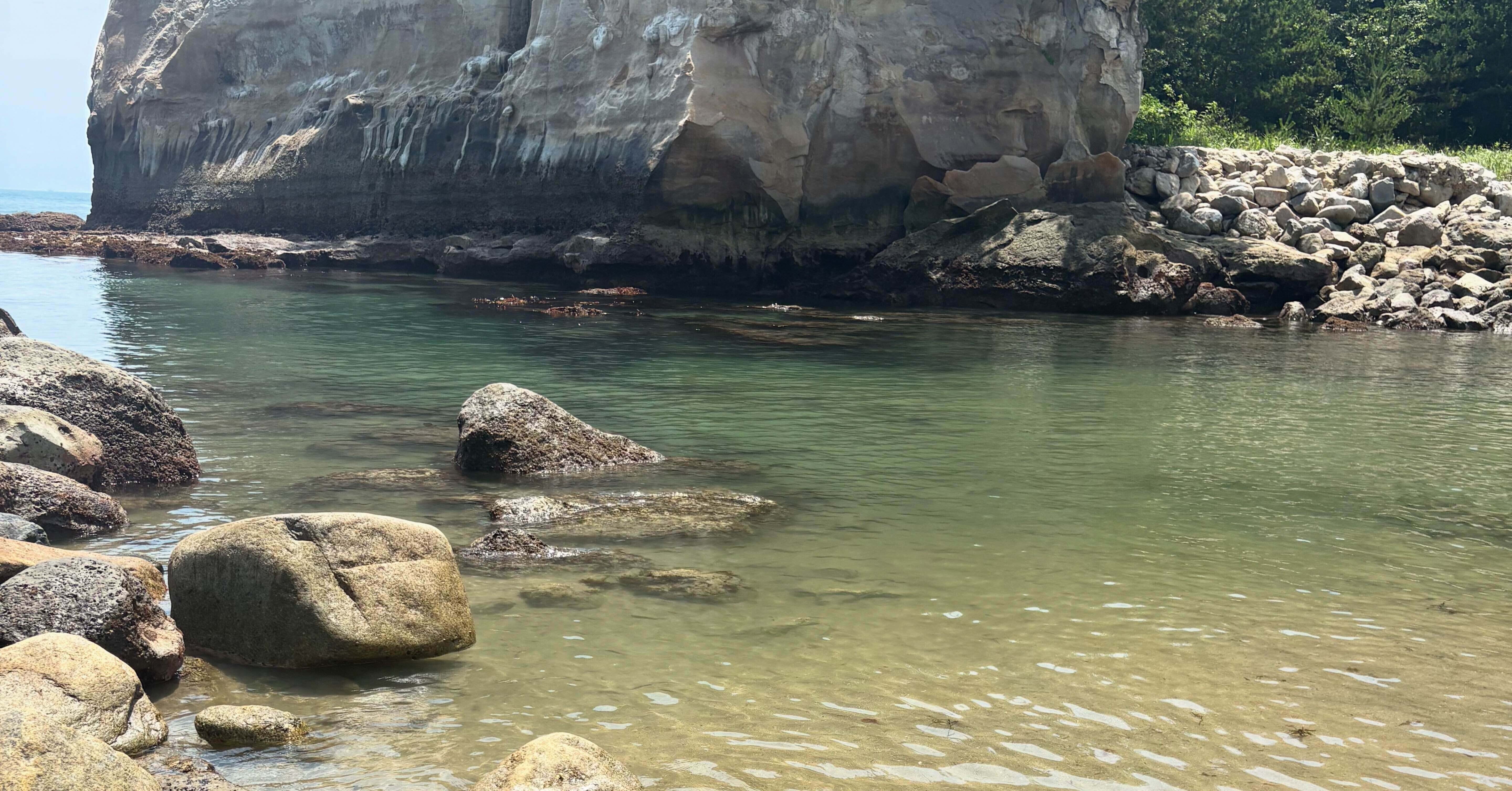 jfmn（薬学生：フォロバ100%）｜note