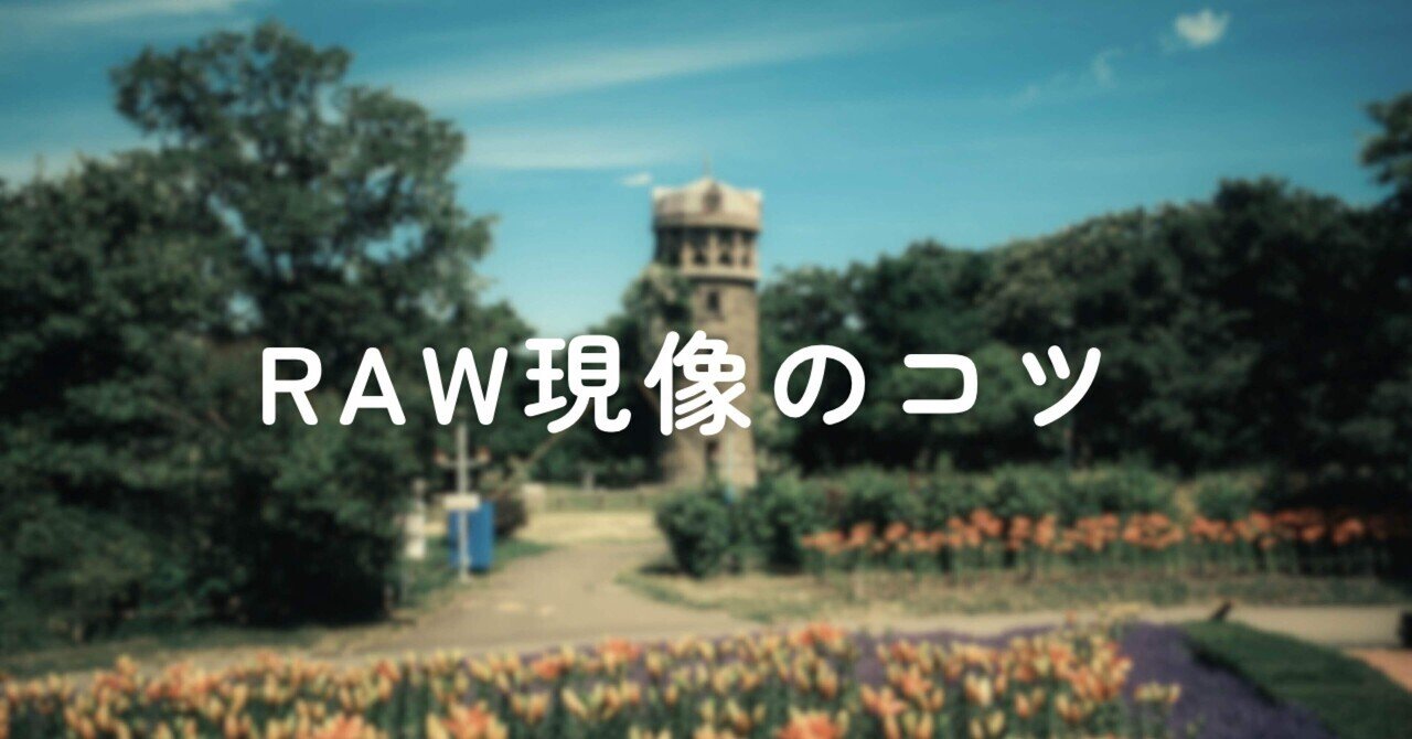 RAW現像で迷子にならないための基本ルール｜Junn Kaga
