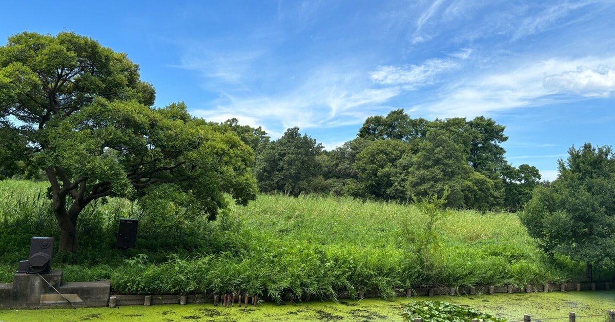 夏の音｜詩｜rira