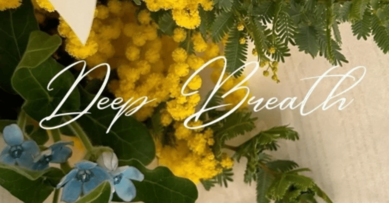 気持ちも新たにリスタート 〜開業届〜｜Hakuto Eiko