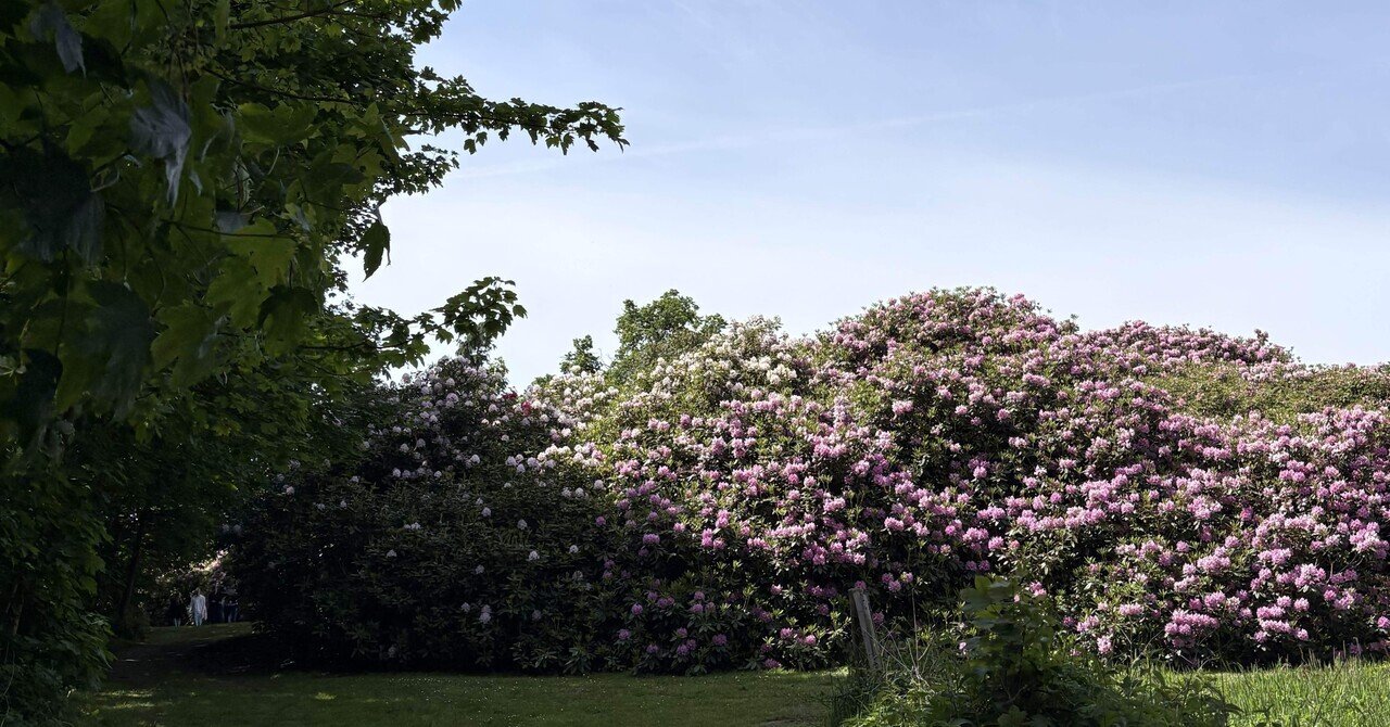 コペンハーゲン / プチトリップ郊外編①｜Mikako