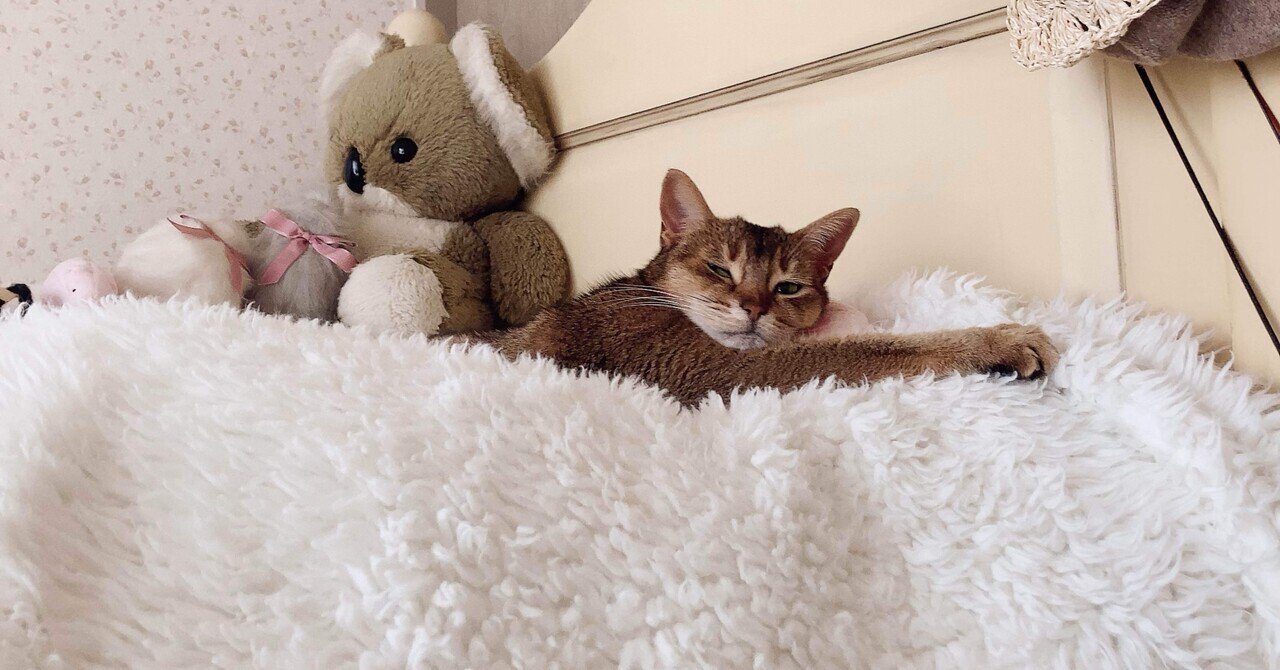 心の目で見れば｜カナコspeena