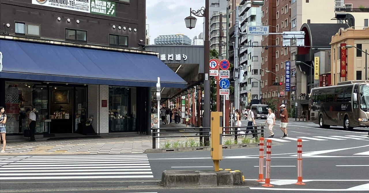 245 少し仕事する日【28歳実況】｜カス鳥/kastori