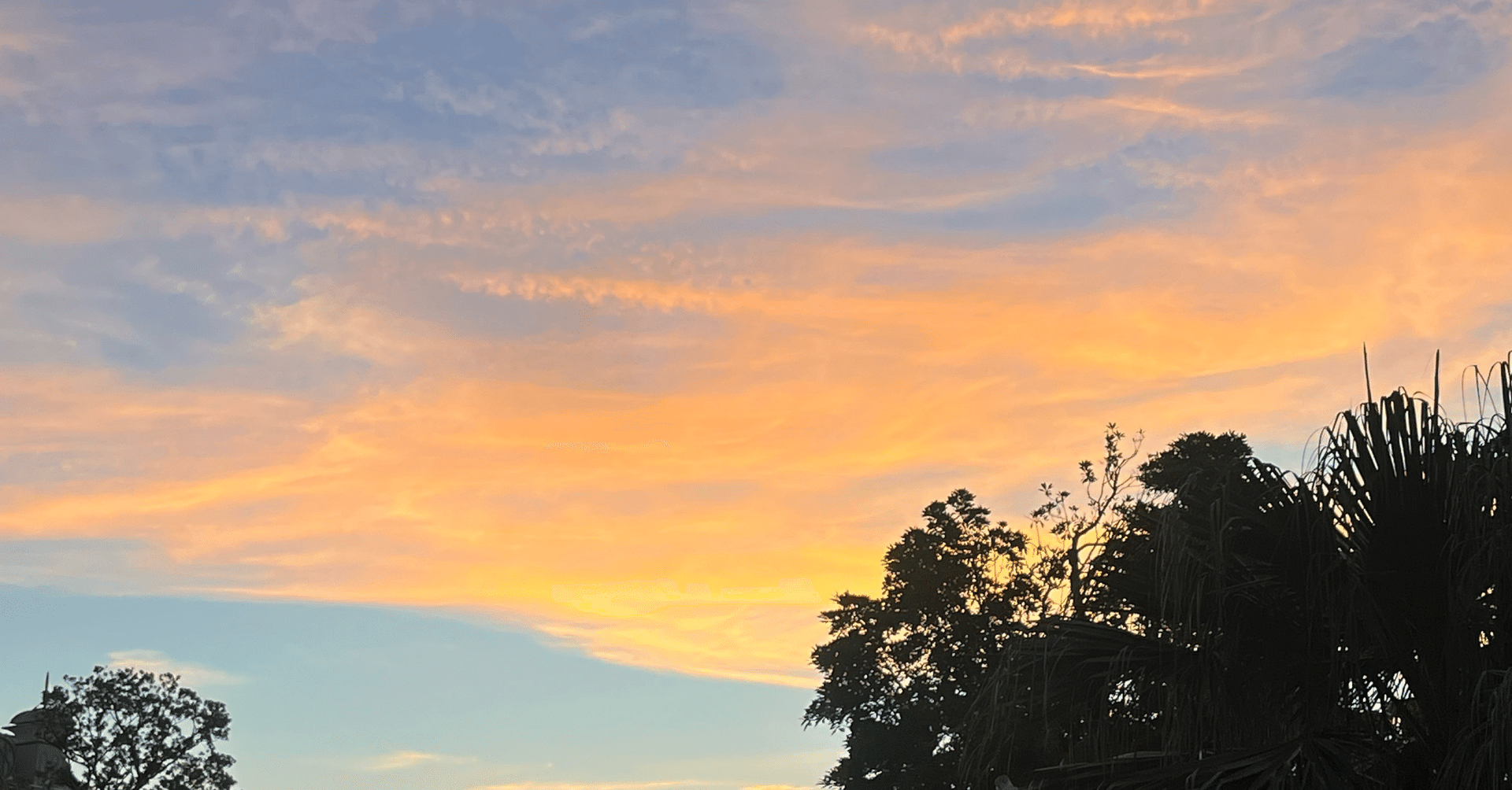 SORA|25歳社会人のつぶやき｜note