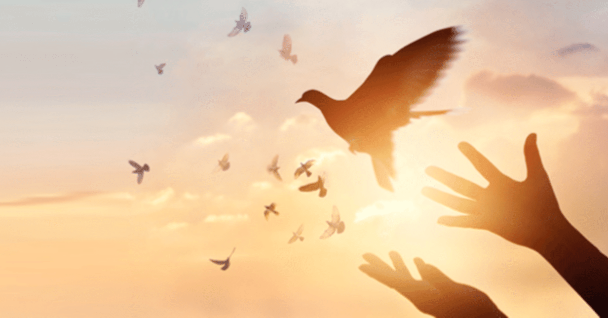 「終戦記念日・8月15日」...タモ・ヤンの81歳からの伝言｜tamo-yan