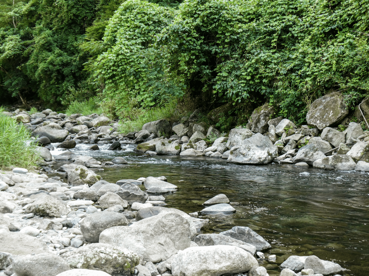コンデジスナップ、大分県日田編【TZ99作例たくさん】｜ma__tsuko