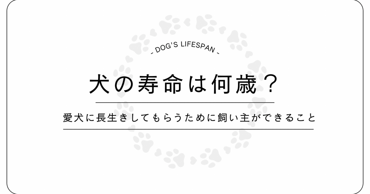 犬の寿命は何歳？｜愛犬に長生きしてもらうために飼い主ができること｜Moco pet note|動物看護師資格もちのペット知識ノート