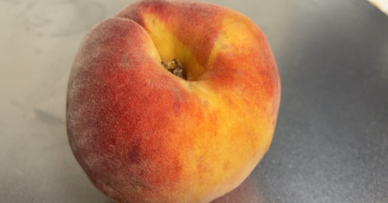 ワッサー -くだもの2025-｜tetsu.i