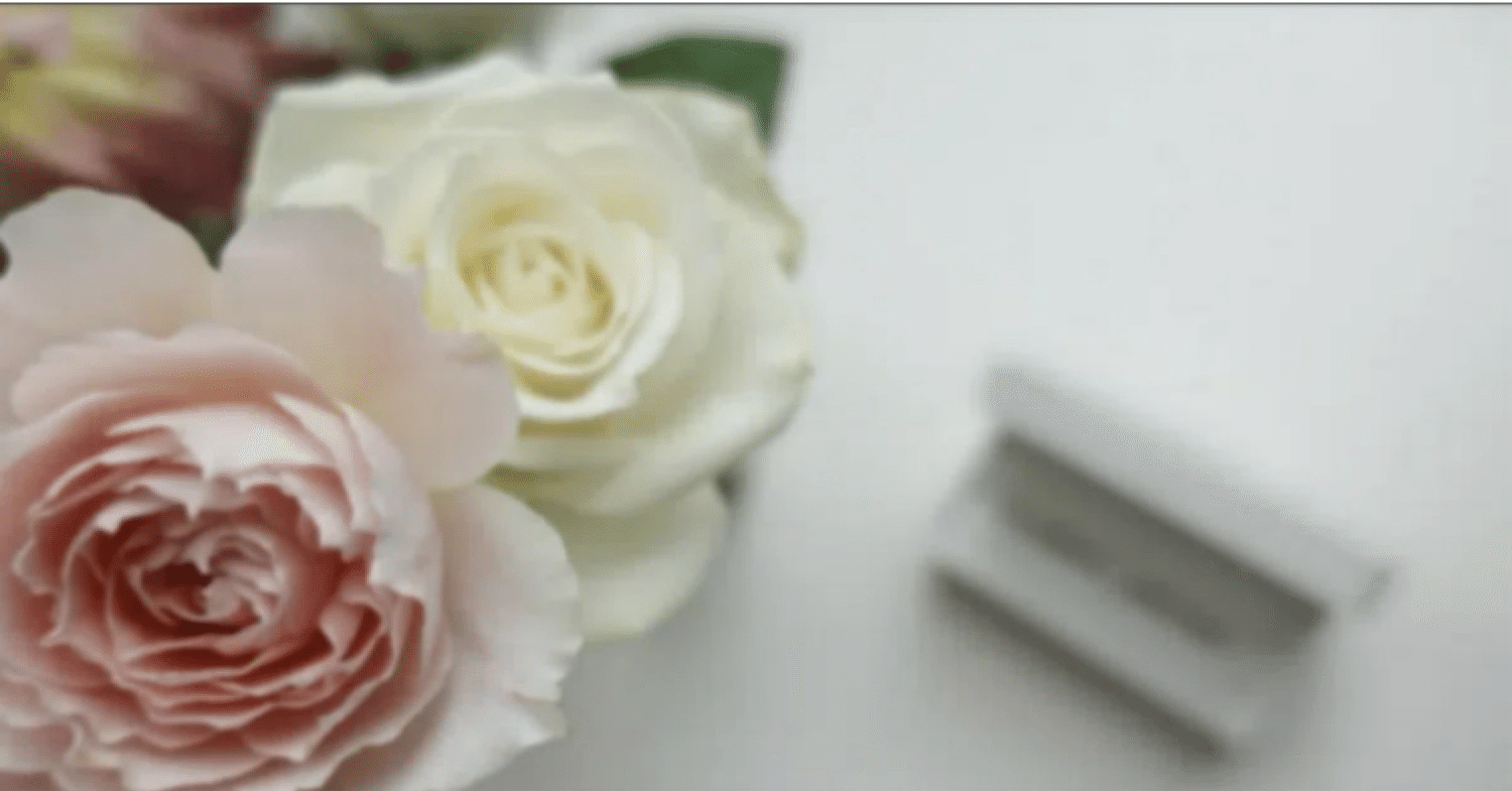 IBJの婚活体験記〜真剣交際編〜｜ちゃちゃ｜note