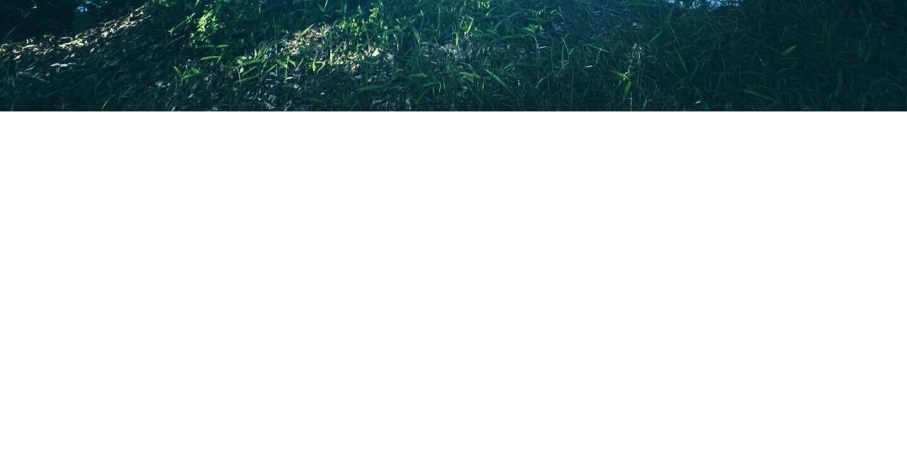 「引き寄せの法則は“手放す”ことで叶い始める ― 不安と共に生きる私が辿り着いた現実的な活用法」｜caedex