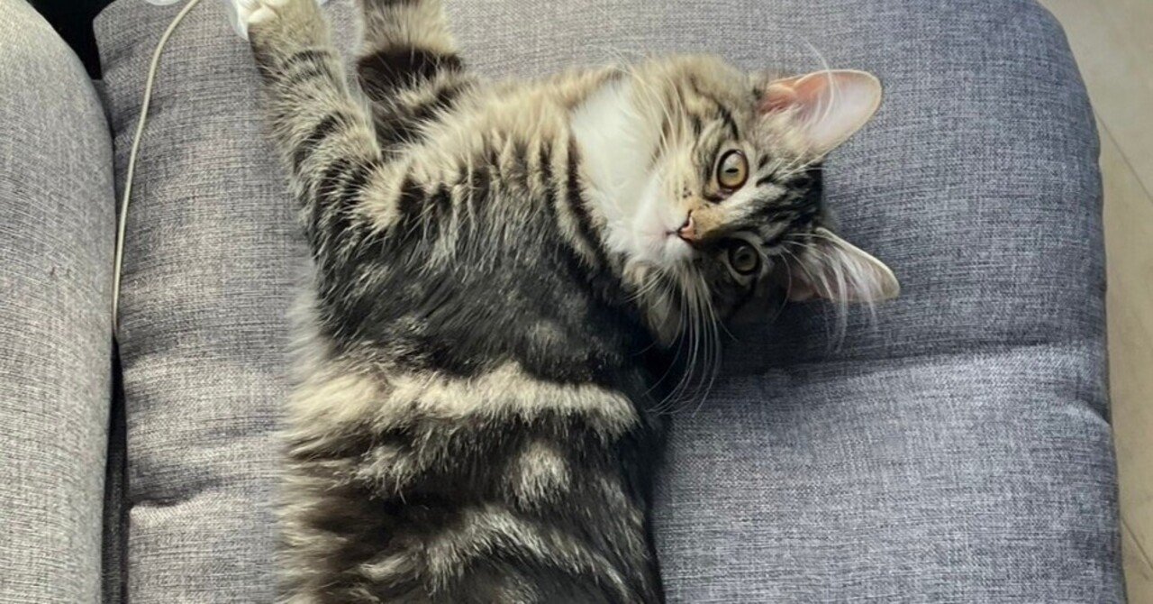 文學界新人賞の受賞作品を6作品読み、分析してみた｜今尾杏(Imao Kyo)@文章で生きたい